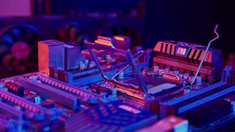 Technician Laying CPU Into The Motherboard Socket Computer Service And Upgrade Concept Stock