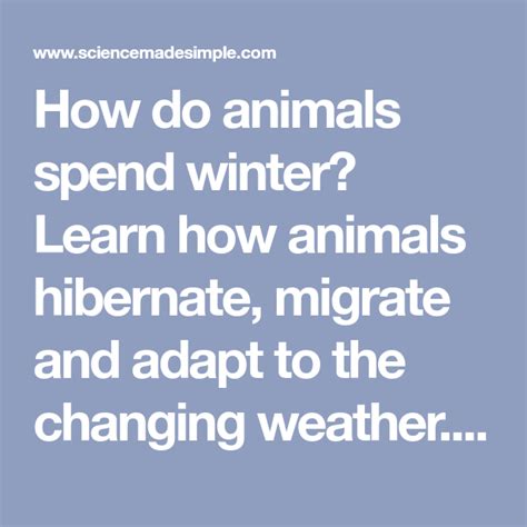 How Animals Spend Winter Hibernate Migrate Adapt