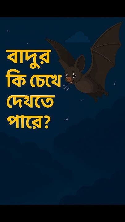 বাদুর কি অন্ধ সত্যি কি তারা চোখে দেখে না জানলে অবাক হবেন Youtube