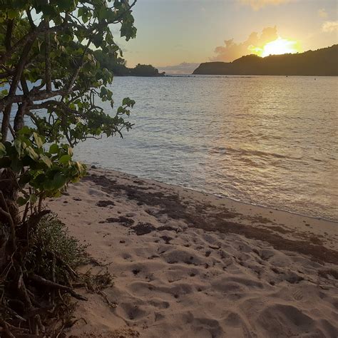 Galleon Beach All You Should Know Before Going 2026 Reviews