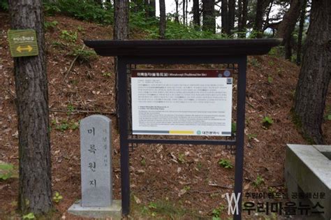 대전문화유산을 찾아서 ~ 미륵원지 우리마을뉴스