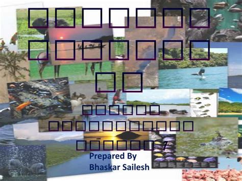 General Knowledge Part 1 Ppt