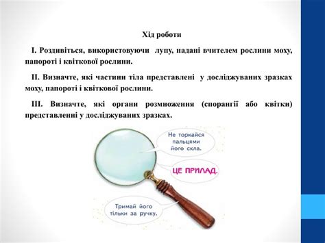 Практична робота №3 Порівняння будови мохів папоротей та покритонасінних квіткових рослин