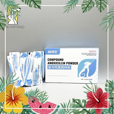 Amoxicillin Powder Supports Good Cough Cold Respiratory Tract