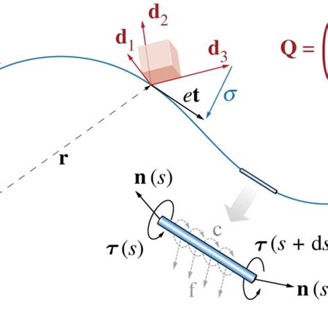 The Cosserat Rod Model A Filament Deforming In The Three Dimensional Download Scientific