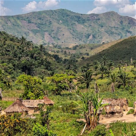 Alur Translation Services Polilingua