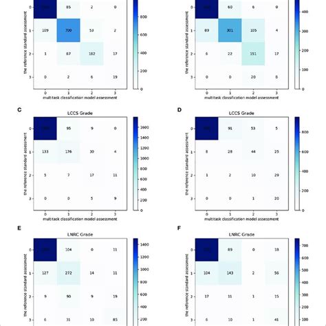 The Classification System Of Lumbar Central Canal Stenosis Lccs