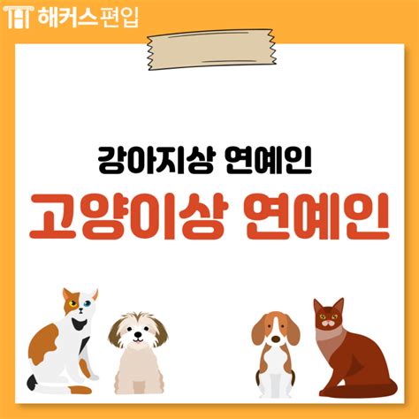 고양이상 연예인 고양이상 특징은🐱 Feat 강아지상 연예인 네이버 블로그