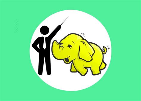 What Day To Day Activities Does A Hadoop Admin Do Xoom Trainings Activity Days Education