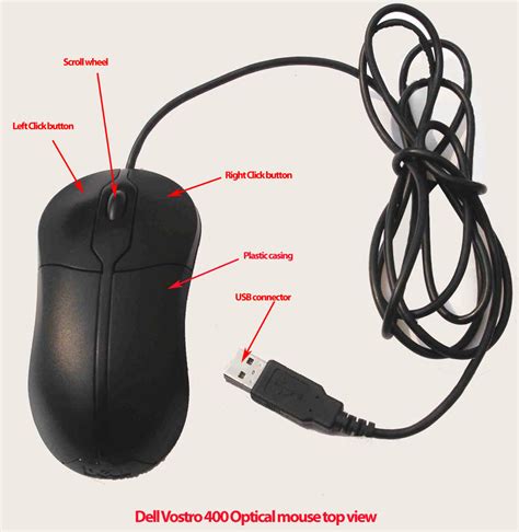 Computer Mouse And Its Parts