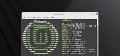 How To Install Linux Mint 20 Alongside Windows 10 Or 8 In Dual Boot Uefi Mode