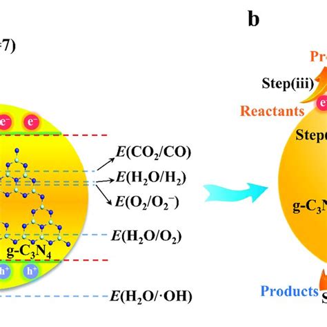 A The Relative Position Of Some Representative Redox Potential And