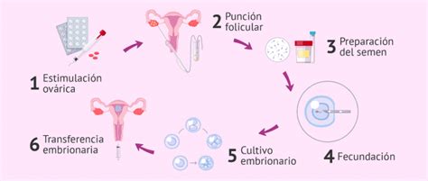 Tratamientos De Fertilidad ¿cómo Conseguir El Embarazo