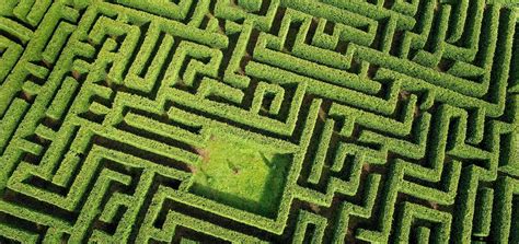 Algorithms To Efficiently Solve Dynamic Connectivity By Steven Ellis