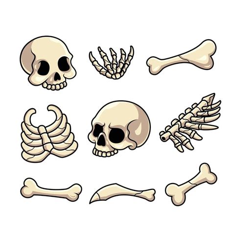 Skeleton Bone Set Illustration 62254653 Vector Art At Vecteezy