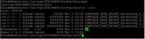 Hana Tutorials How To Backup Hana System
