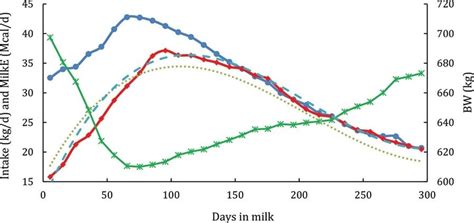 Total Mixed Rations For Dairy Cows
