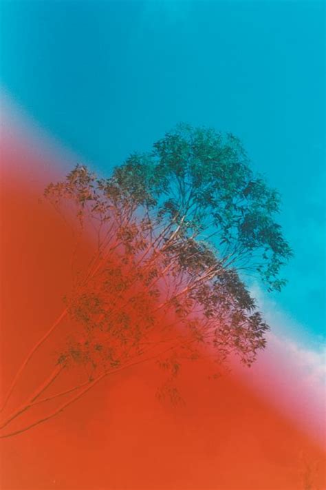 Naked Photos Graphic Experiments Amid Covid