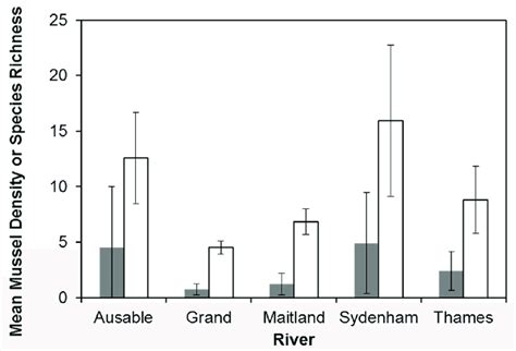 Mean Standard Deviation Sd Mussel Density Number·m −2 Grey And