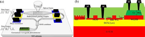A Schematic Layout Of The Integrated Photonic Interconnect B