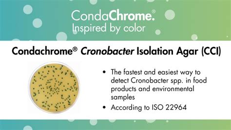 Chromogenic Cronobacter Isolation Agar Cci Iso Formato 500 G Omar Lafi