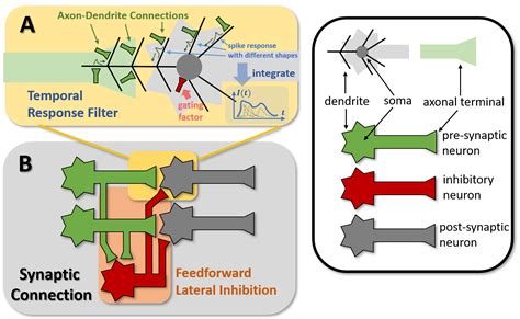 Github Tab Ctstsc Snn Stsc Snn Spatio Temporal Synaptic Connection