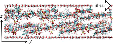 Example Of Polymer Conformation Under Constant Shear Side View Of