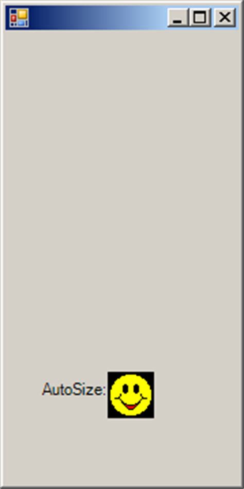 Autosize Picturebox Picturebox Gui Windows Forms C Csharp Tutorial
