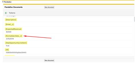 Format Salesforce Date Token