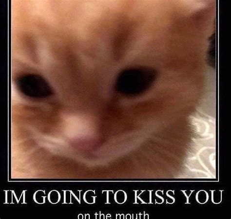 Instagram Photo By Cordelia 💌 • Oct 5 2020 At 1131 Am