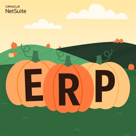 Dumitru Puscasu On Linkedin Erp