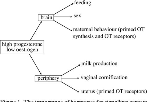 Figure 1 From Motherinfant Bonding And The Evolution Of Mammalian Social Relationships