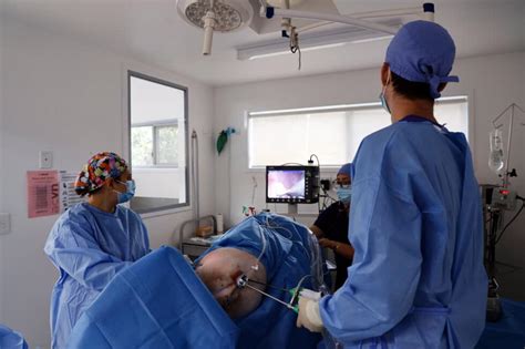 North Nowra Vet Hospital Jervis Bay Clinic On Call Veterinarian