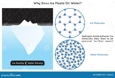 Why Does Ice Float On Water Infographic Diagram Stock Vector