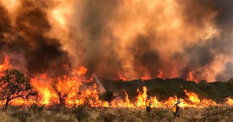 Continúan Los Incendios Con Tres Focos Activos Y Más De 10000