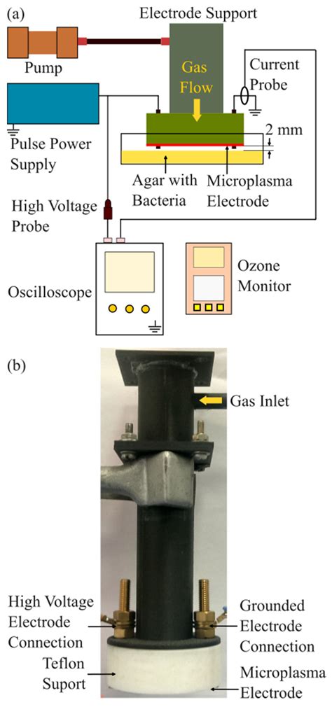 Biological Decontamination By Microplasma V1