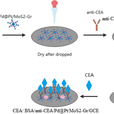 The Process Of The Assembly Diagram Of The Sensors Download