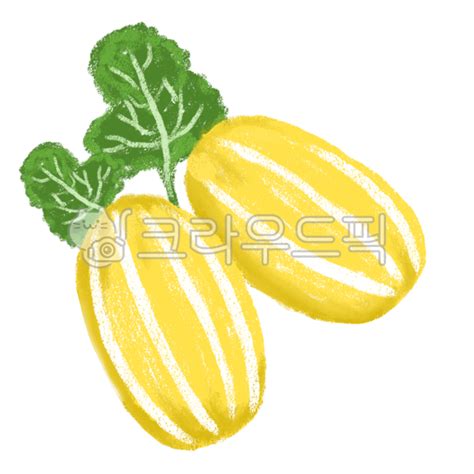 참외 과일 여름과일 잎 참외일러스트 사진이미지일러스트캘리그라피 민트하나작가