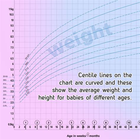 What Is A Centile Chart And How Is It Used At Norman Justice Blog