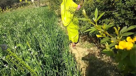 Sex In Village Com Porn Videos Watch Sex In Village Com On Letmejerk