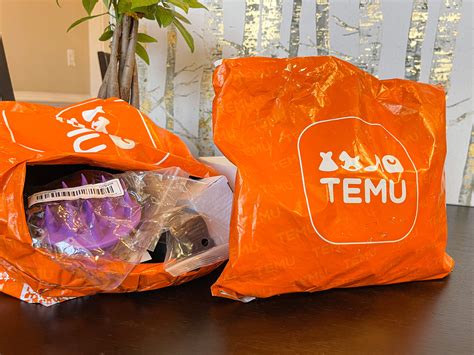 Temu Trending Shopping App Review