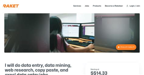 i will do data entry data mining web research copy paste and excel