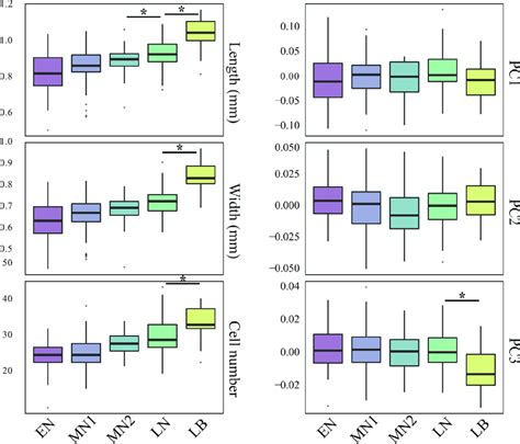 Boxplots Comparing The Length Width Cell Number And The Three First Download Scientific