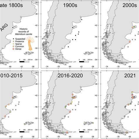 Forecasted Potential Distribution Of Metridium Senile In The Download Scientific Diagram