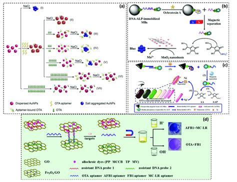 A Gold Nanoparticle Aptamer Based Lspr Sensing Of Ochratoxin A At A Download Scientific