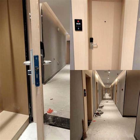 TTlock Bluetooth Door Lock Bluetooth Smart Door Lock Supplier