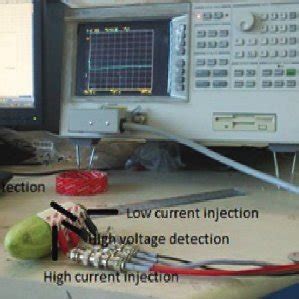 Four Electrode Impedance Measurement Technique Download Scientific Diagram