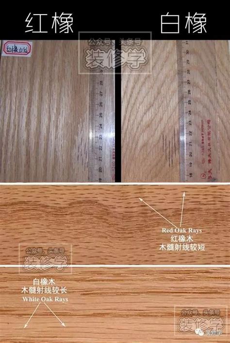 白橡木和红橡木区别区别第8页大山谷图库