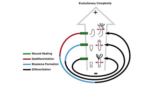 ¿qué Experimenta La Tierra En Los Próximos 50 O 70 Años Predicciones