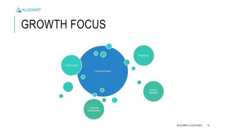 Ceos Of Public Companies Recognize The Critical Role That Investor Relations Programs Play In
